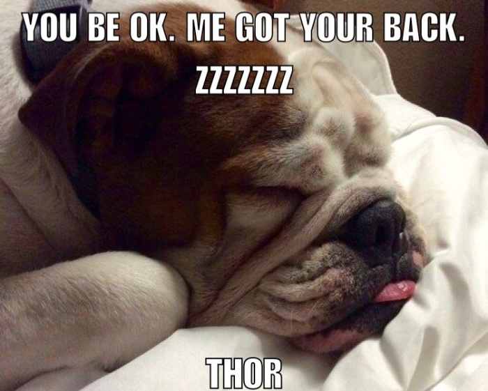 Bulldog Humor, Poetry - HubPages