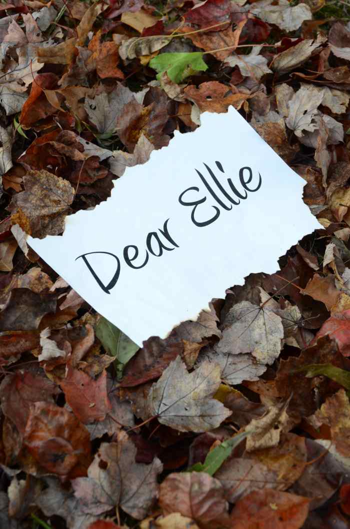 Dear Ellie - Part 19 - LetterPile