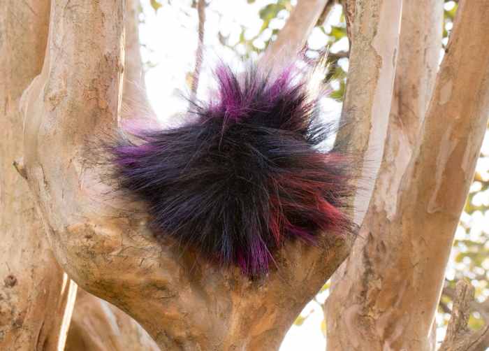 A Complete Guide to Raising a Tribble - LetterPile