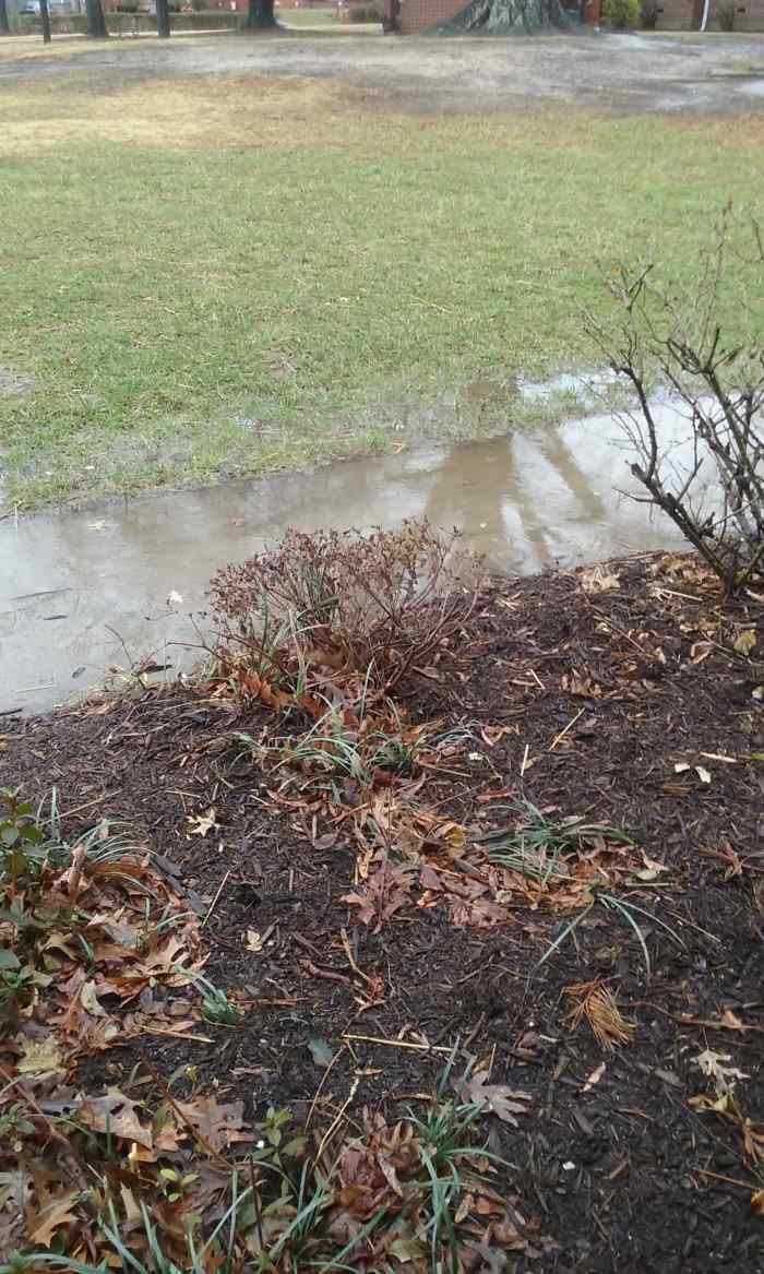 A Brief Compilation of Short Poems - Part III - LetterPile