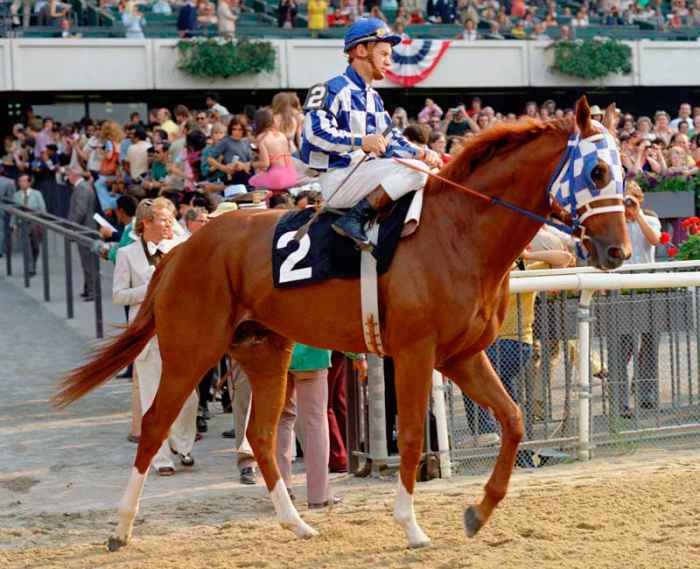 Secretariat: The Heart of a Champion - HubPages