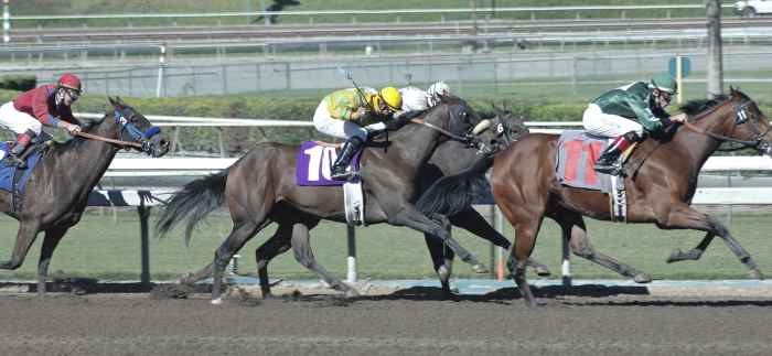 Secretariat: The Heart of a Champion - HubPages