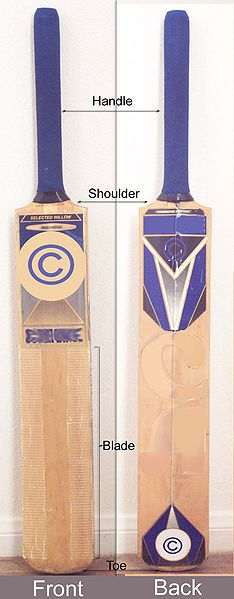 How to Play Cricket: A Guide for Beginners - HubPages