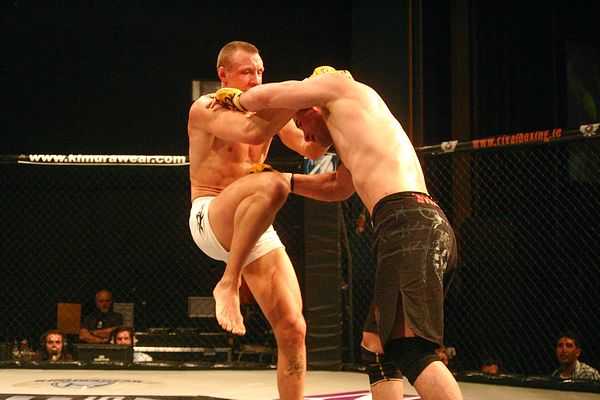 5 Fighters With the Craziest Leg Reaches in UFC History - HubPages