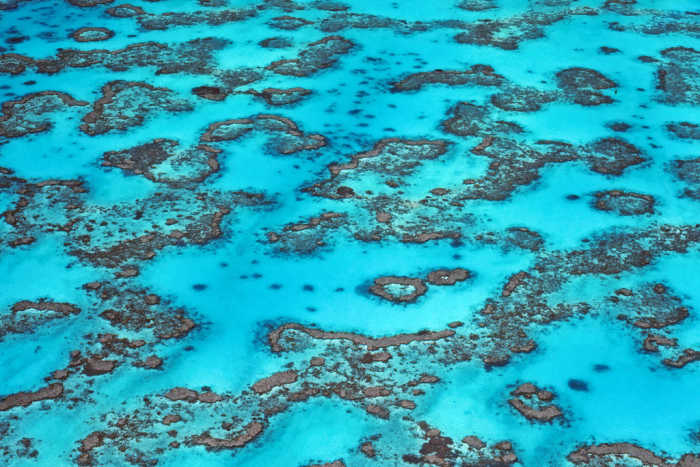 The Valuable Presence of the Coral Reefs - HubPages