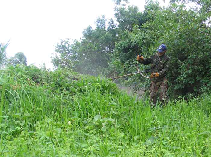 6 Reasons Why Your Brush Cutter Trimmer Line Breaks - HubPages