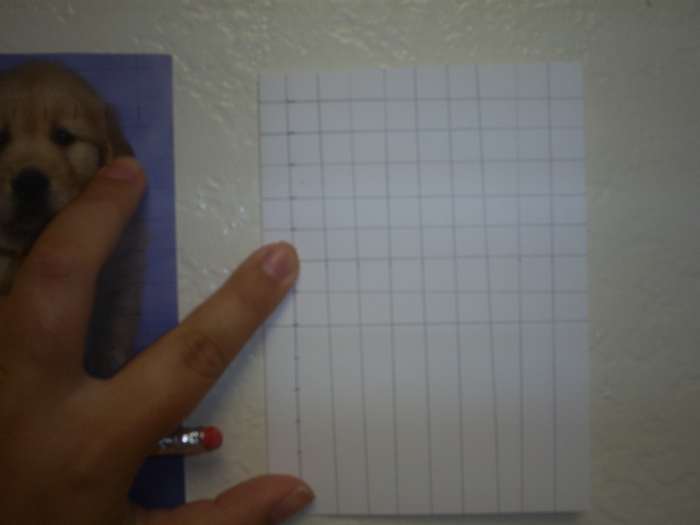 How to Use a Grid to Make Drawing Simple: A Step by Step Art Project ...