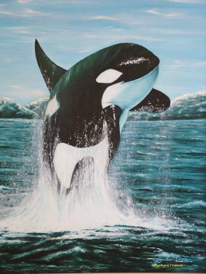 Killer Whales: Interesting and Fun Facts, Videos, Photos, and Links ...