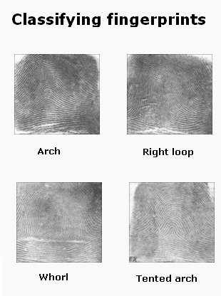 Fingerprint Classification Project - HubPages