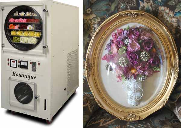 Floral Freeze-Drying - Preserving Bouquets and Flowers - HubPages