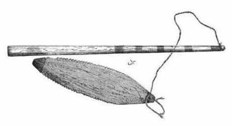 National Toy Hall of Fame in New York - HubPages