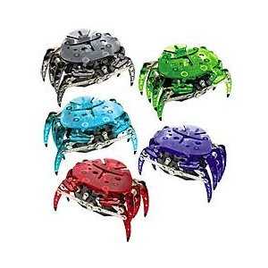 Hexbugs Review: Types of Hex Bugs, The Original Spider, The Difference ...