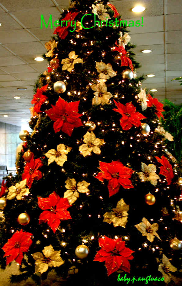 The Colors of Christmas: Red, Green and Gold - HubPages