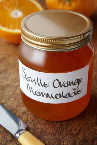 The Secret Story of the Common Orange: History, Types and Recipes ...