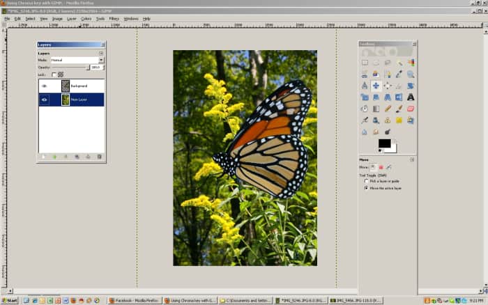 How to Do Chroma Key in Gimp: A Gimp Tutorial on Changing a Photo Background - HubPages