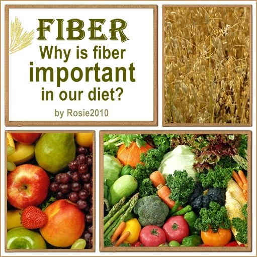 What is Fiber and Why is Fiber Important in our Diet? - HubPages