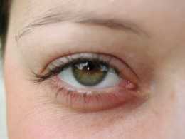 Iconic Memory and Sperling's Experiments - HubPages