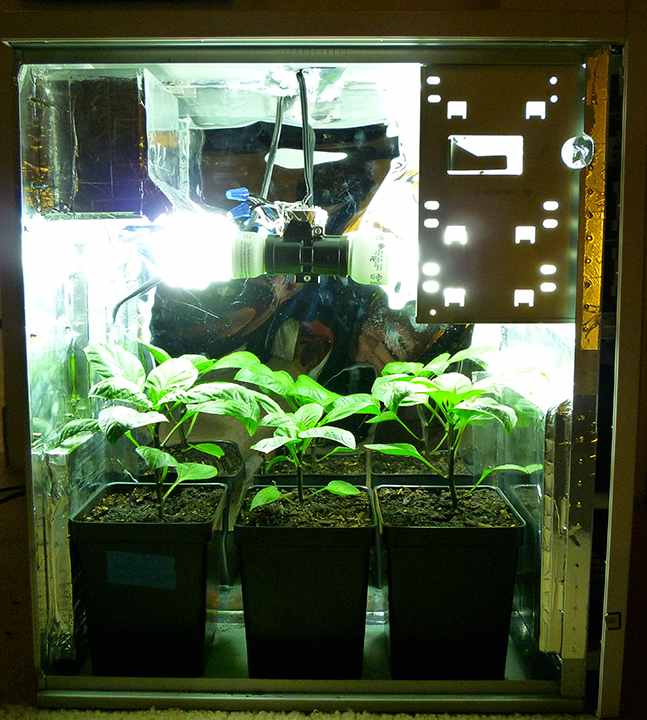 How to Reuse an Old Computer for Growing Plants - HubPages