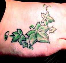 Ivy Tattoo Designs And Meanings-Ivy Flower Tattoos And Vine Tattoos ...