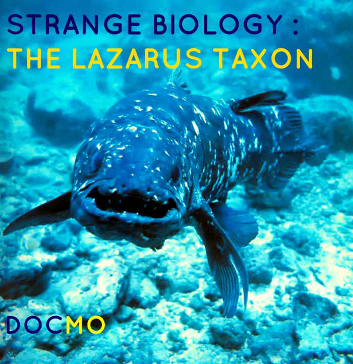 Strange Biology: The Lazarus Taxon - HubPages