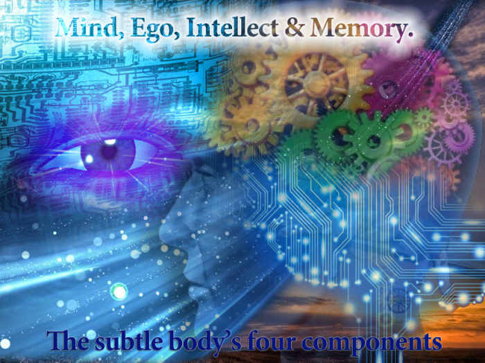 The Difference Between Wisdom, Intellect & Mind - HubPages