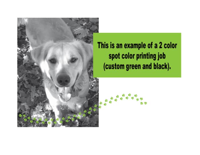 What is 4 Color Process Printing? - HubPages