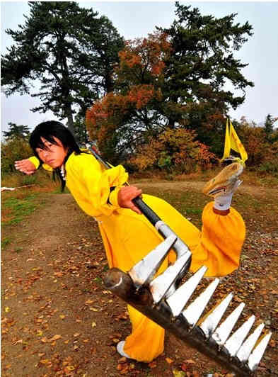 Rakes - history of a harvesting tool gone bad - HubPages