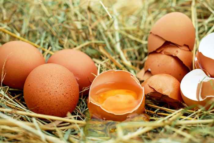 Burps Taste Like Eggs and Smell Like Eggs: Causes - HubPages