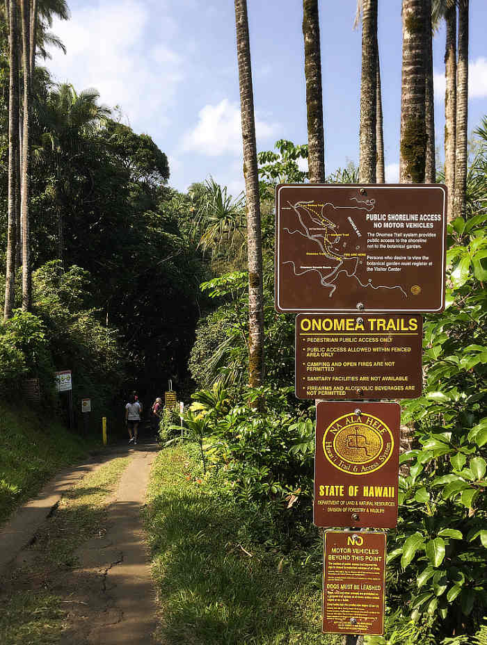 Hawaii Road Trip: Four Mile Scenic Drive on the Big Island - HubPages