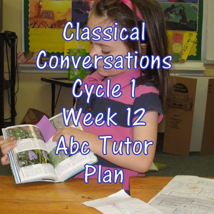 CC Cycle 1 Week 12 Plan for Abecedarian Tutors - HubPages