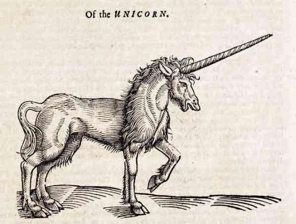 Did Unicorns Really Exist? - HubPages