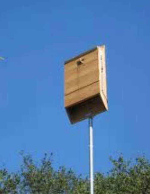 Four Natural Fly Controls for Cattle - HubPages