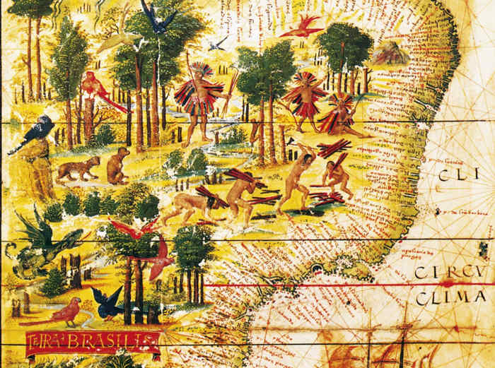 Discovery of Brazil, the Story Behind the Day April 22, 1500 - HubPages