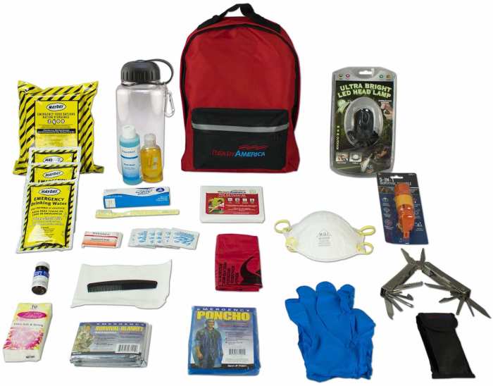 How to Prepare for the Coronavirus Pandemic - Supplies List & Survival ...