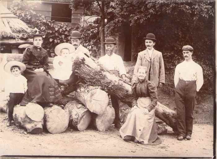 Original Old Guernsey Farming Pictures and Photos. - HubPages