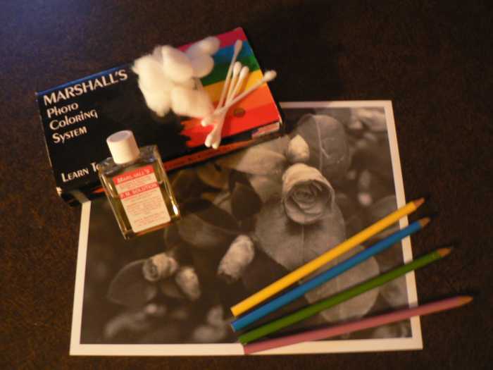 Photography - How to Hand Color Your Black and White Prints - HubPages