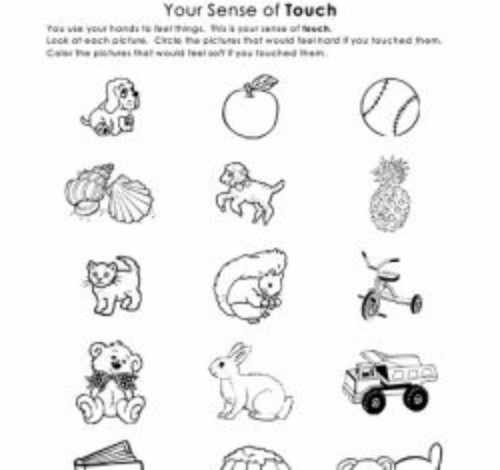 Teaching Sense of Touch - The Five Senses - HubPages