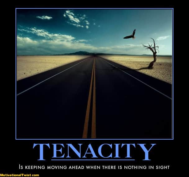 How can we show tenacity in the face of adversity? - HubPages