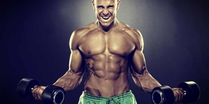 Training Tips for Ectomorph Body Type - HubPages