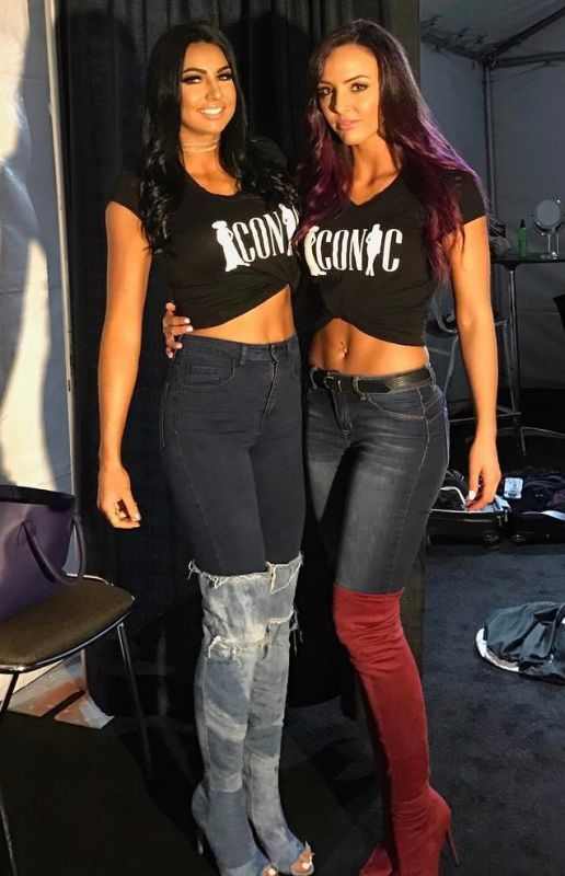 The WWE NXT Divas - The Women of NXT Wrestling - HubPages