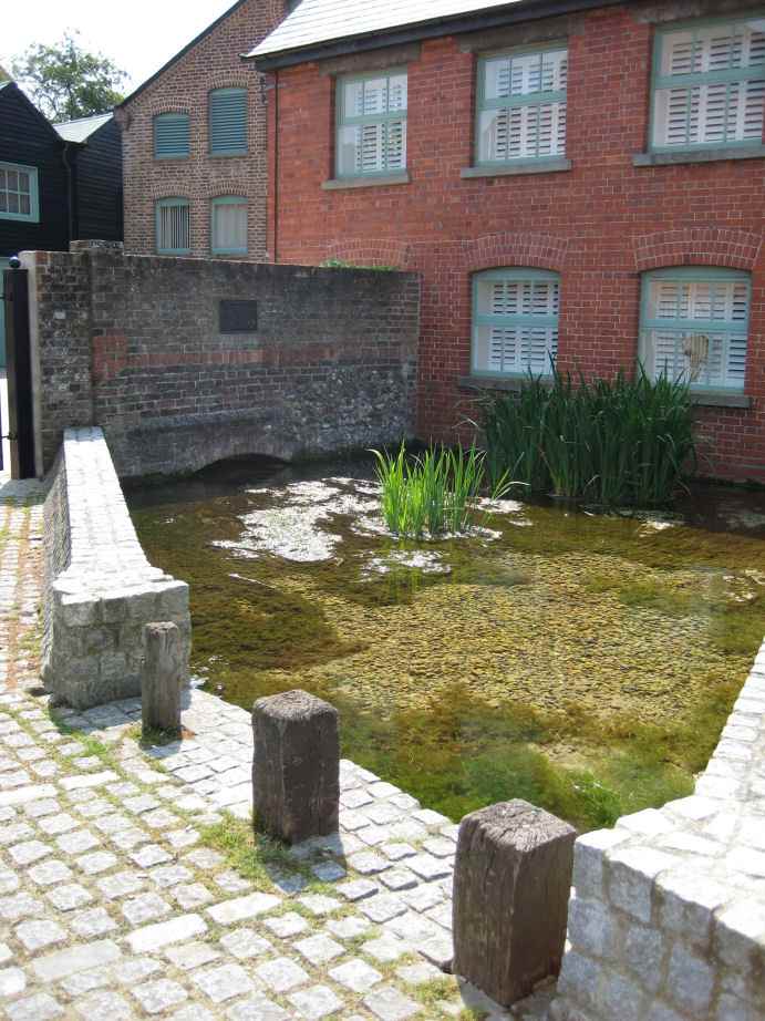 Living in Havant - HubPages