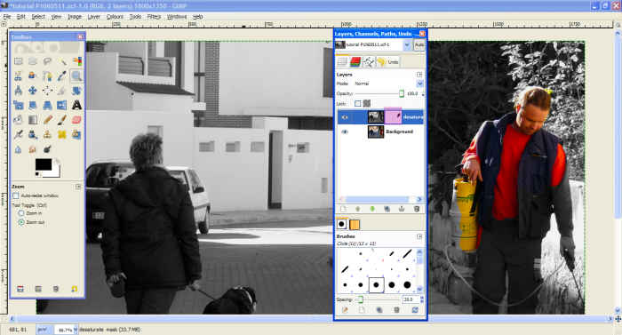 GIMP Tutorial on How to do Selective Coloring - HubPages