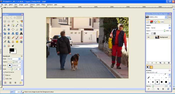 GIMP Tutorial on How to do Selective Coloring - HubPages