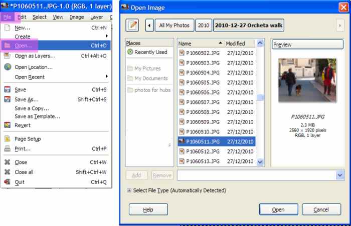 GIMP Tutorial on How to do Selective Coloring - HubPages