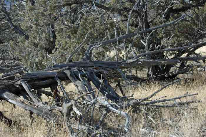 Barnes Butte IronHorse Trail Prineville Oregon - HubPages