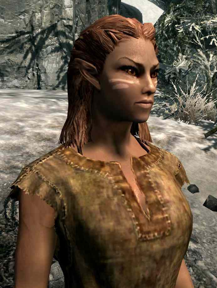 Wood Elf Or Bosmer Race And Their Names In Skyrim The Elder Scrolls V ...