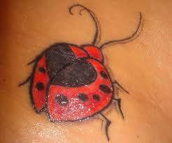 Ladybug Tattoos And Ladybug Tattoo Meanings-Ladybug Tattoo Designs And ...