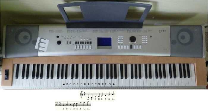 How to Read Sheet Music: Notes - HubPages