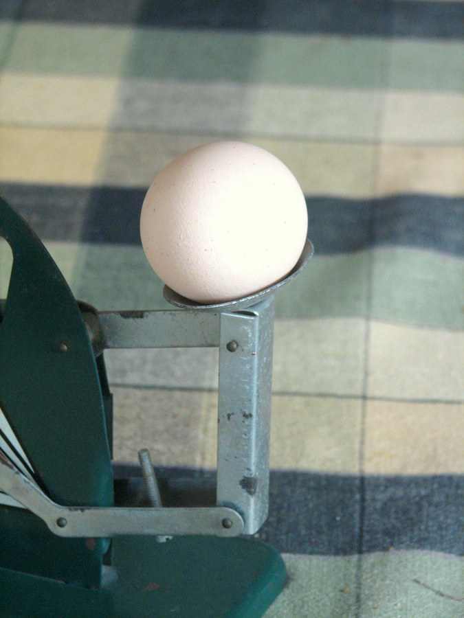 Vintage Egg Scales - Chicken Collectibles - HubPages