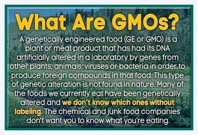 The Truth About GMOs and Why Companies Don't Want The Words "GMO" On ...